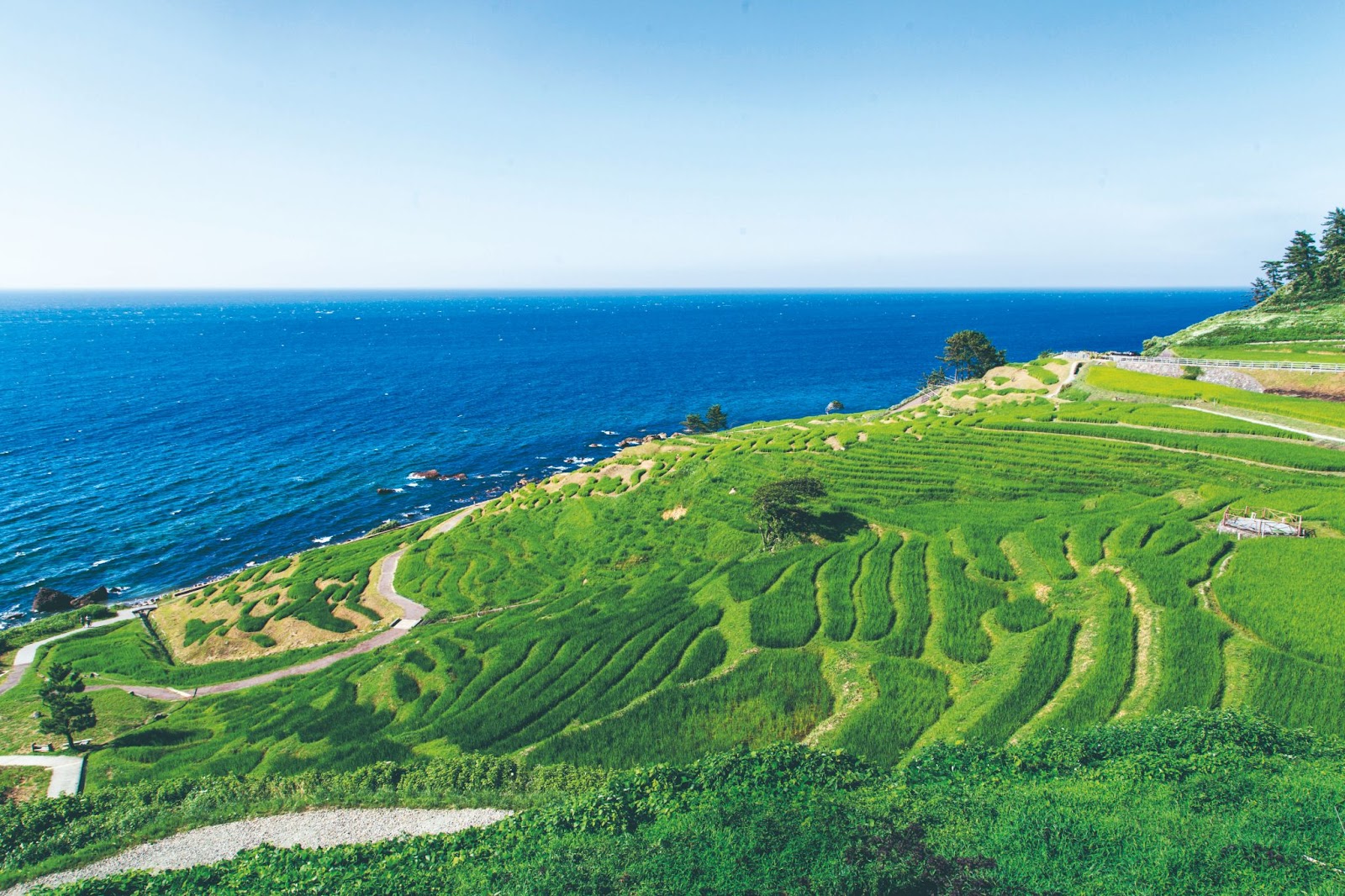 Beginner's Guide to Ishikawa - Japan's Golden Prefecture - The Daily Brit