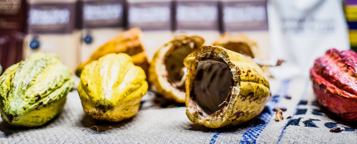 Chocolate Unwrapped - an immersive chocolate experience - The Daily Brit